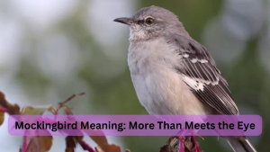 Mockingbird Meaning: More Than What Meets the Eye – Bellzo
