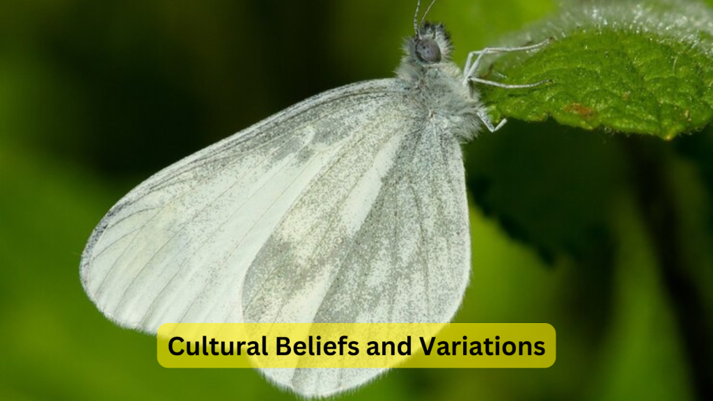 White Moth Meaning: Symbol of Hope and Wisdom – Bellzo